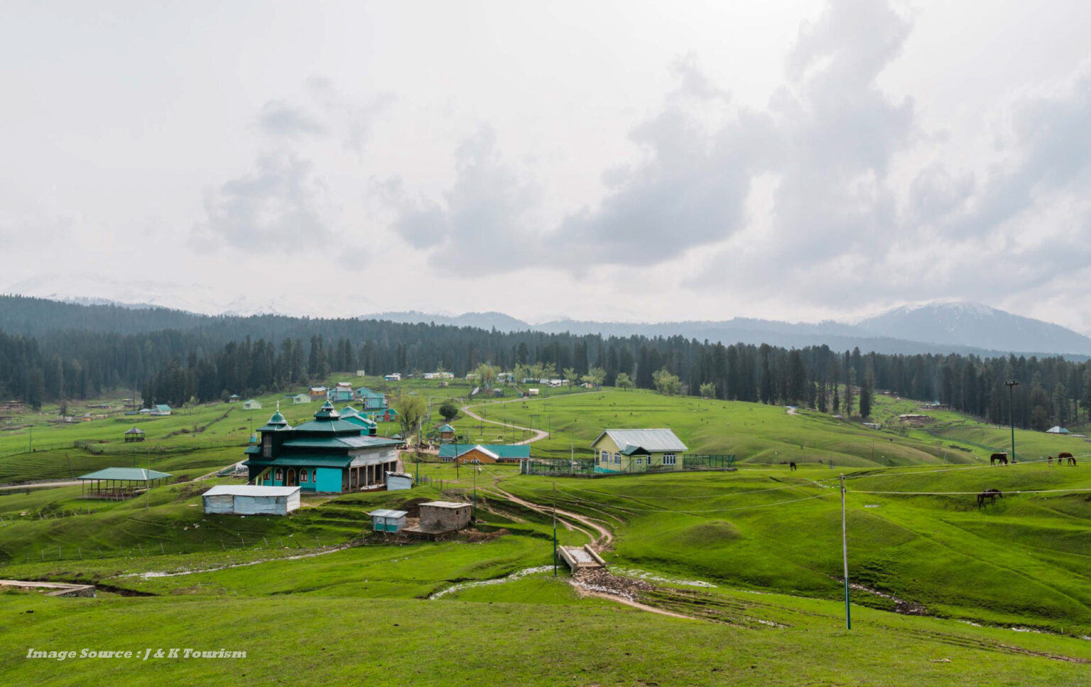 Yusmarg: A Whisper Among the Pines in Kashmir's Untold Story